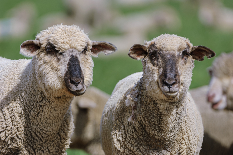 Best Family Activities in Seattle for April 2025 | ParentMap